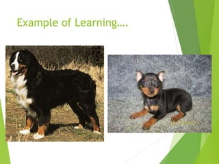 Cognitive Development of learning of psychology | PPT