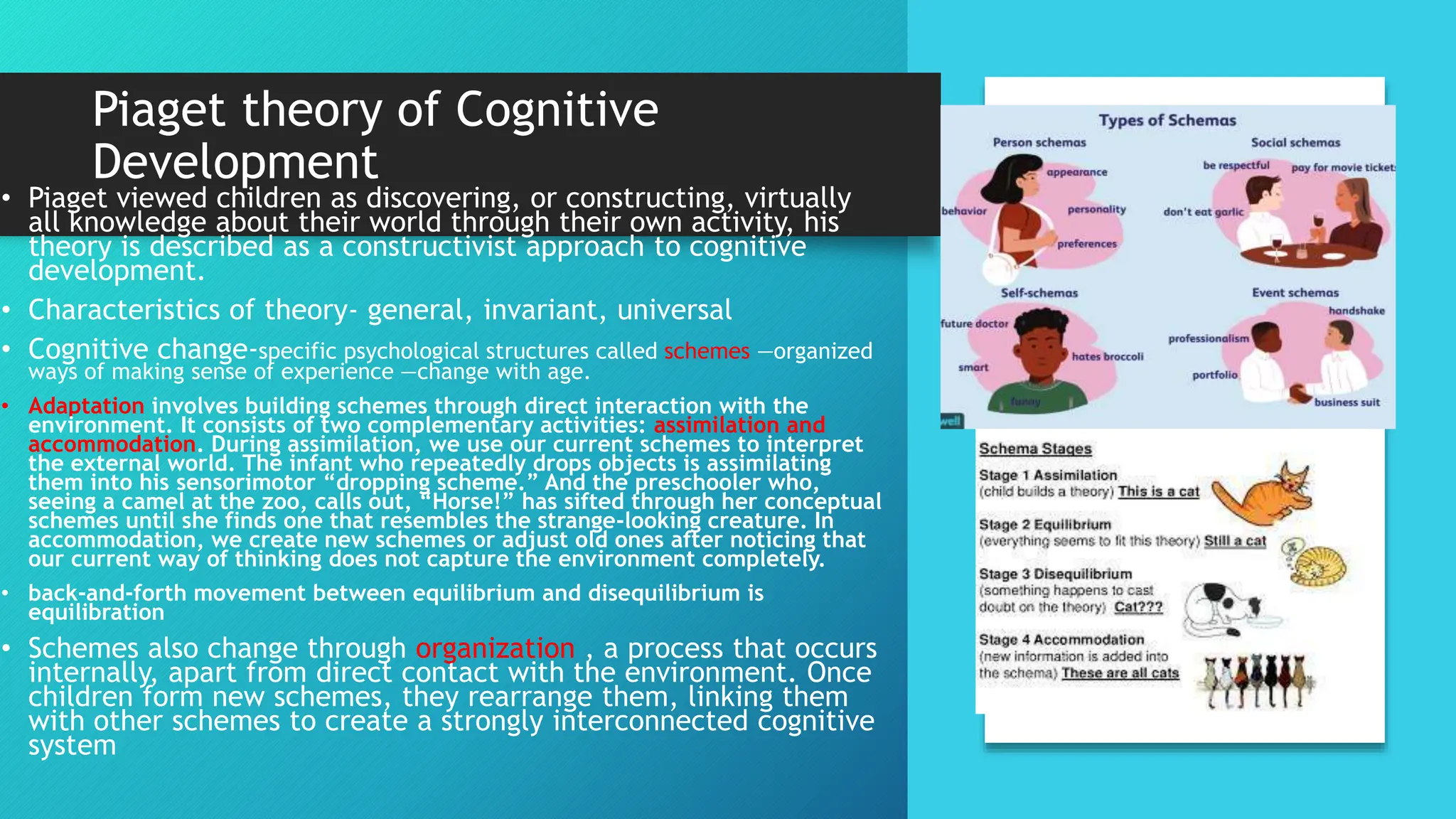 Cognitive Development power point presentation | PPTX