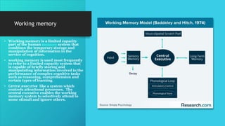 Cognitive Development power point presentation | PPTX