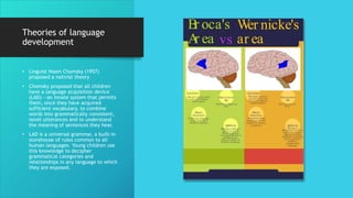 Cognitive Development power point presentation | PPTX