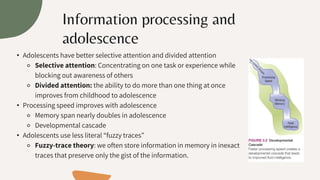 Cognitive Development Adolescence Psychology | PDF