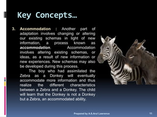 Piaget's Cognitive Development | PPSX