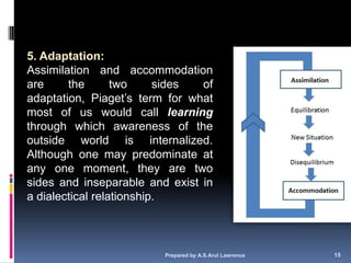 Piaget's Cognitive Development | PPSX