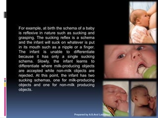 Piaget's Cognitive Development | PPSX