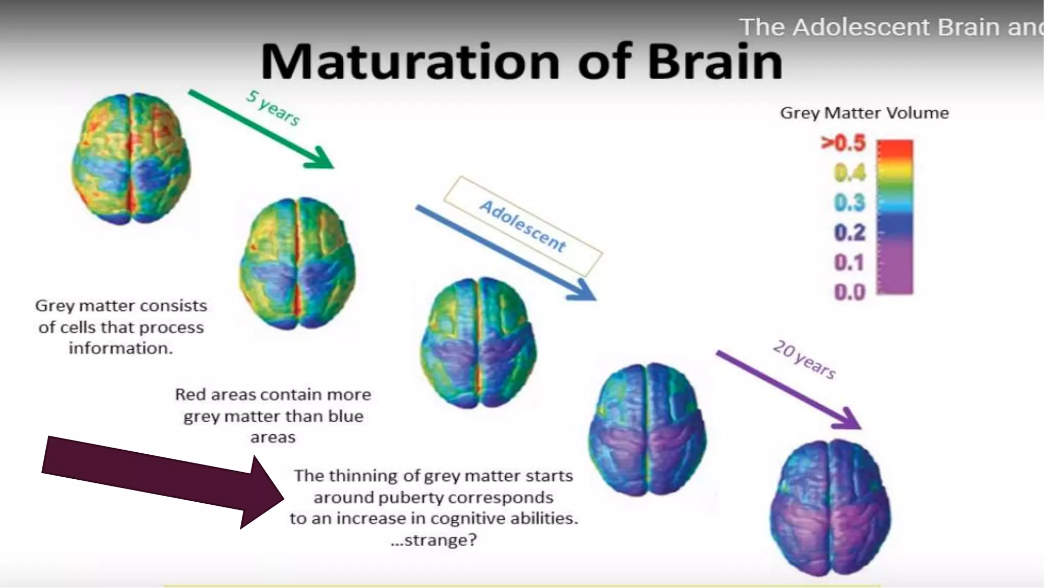 Cognitive development and aging | PPTX