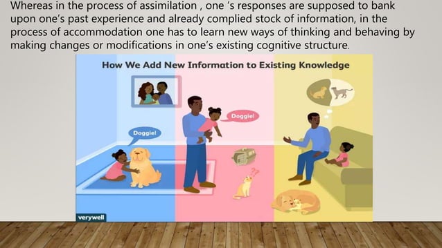 Cognitive development and cognition | PPTX