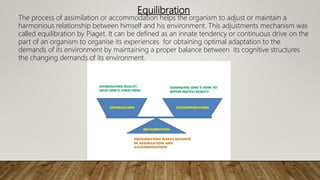 Cognitive development and cognition | PPTX