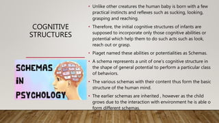 Cognitive development and cognition | PPTX