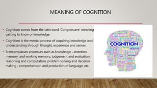 Cognition In Psychology: Definition, Types, Effects, And, 50% OFF