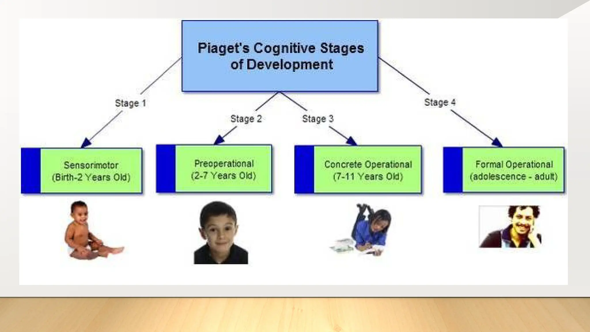 Theory of Cognitive Development by Jean Piaget | PDF