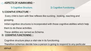 Theory of Cognitive Development by Jean Piaget | PPT