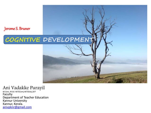 Cognitive development jerome s bruner | PPTX