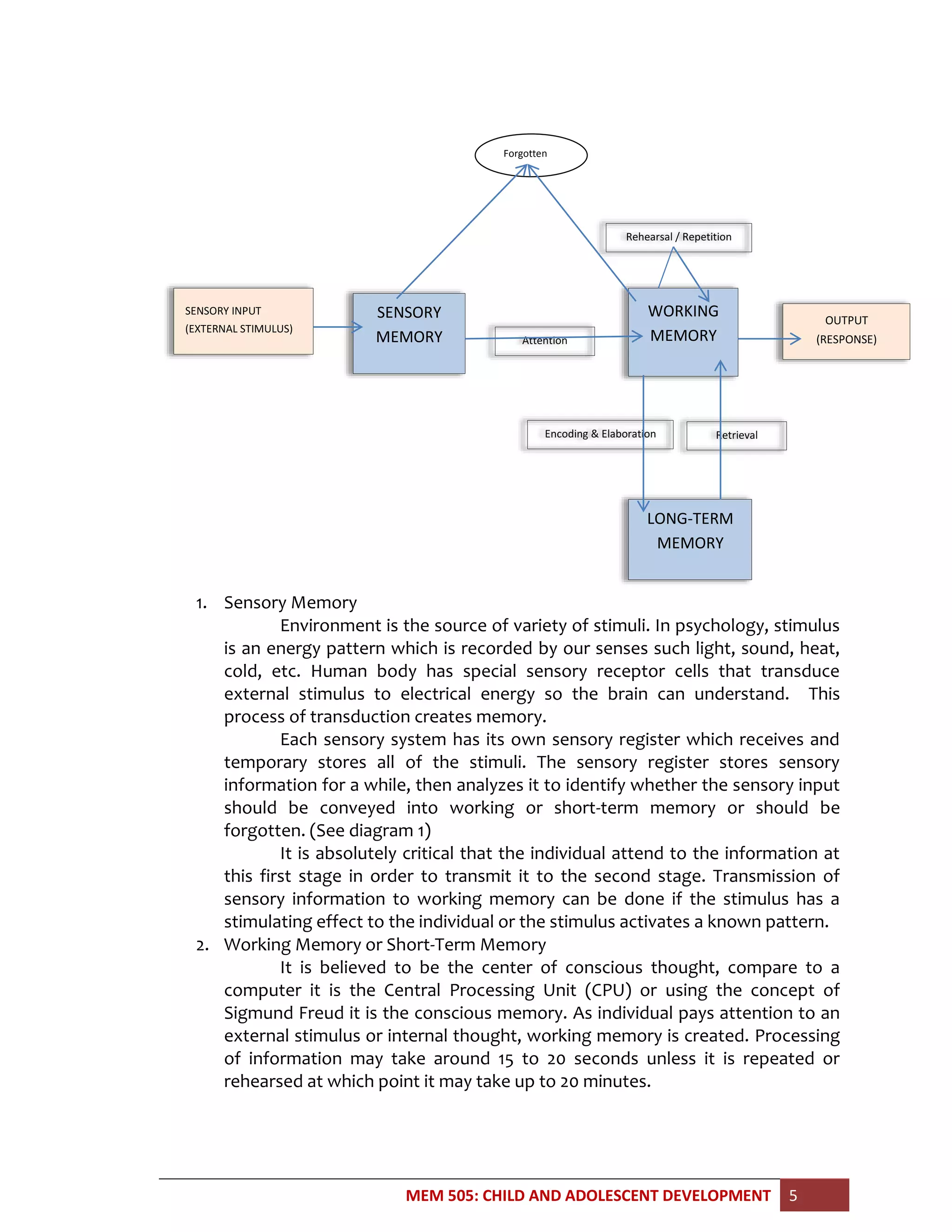 Cognitive development of children and adolescents | DOCX