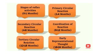 Cognitive Development Theory of Jean Piaget | PPTX