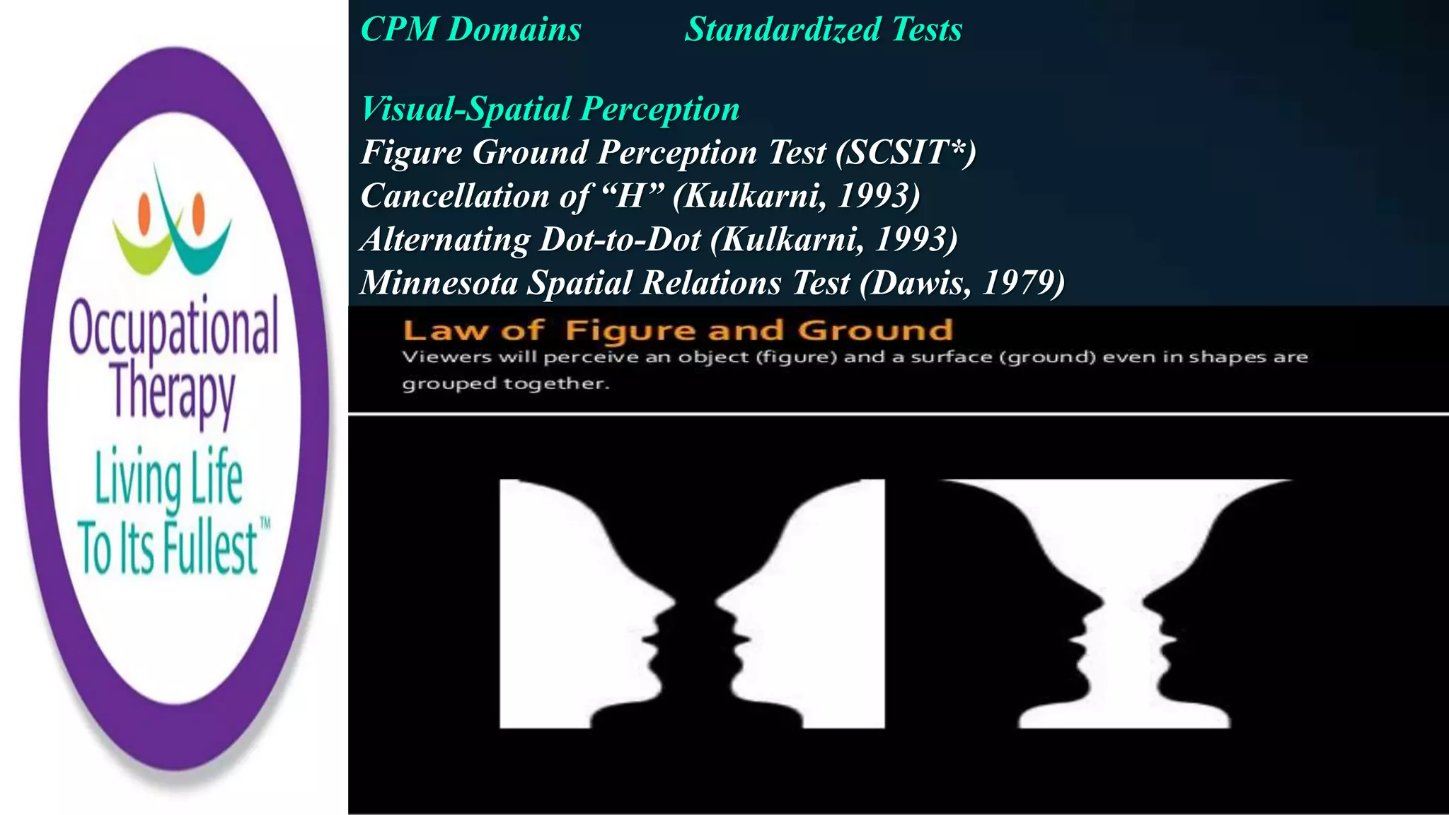Occupational Therapy Cognitive Functional Evaluation | PPTX