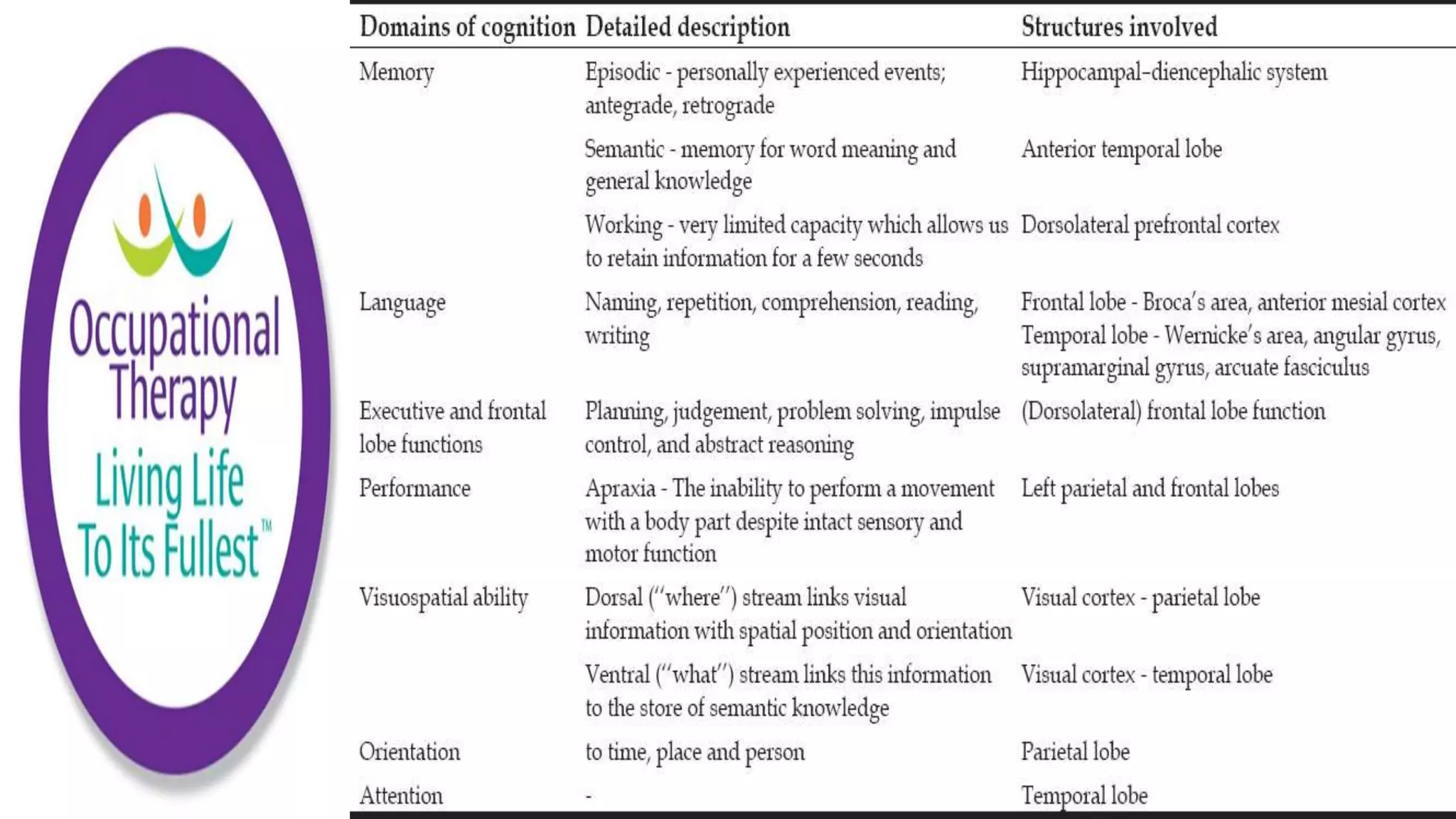Occupational Therapy Cognitive Functional Evaluation | PPTX