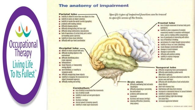 Occupational Therapy Cognitive Functional Evaluation | PPTX