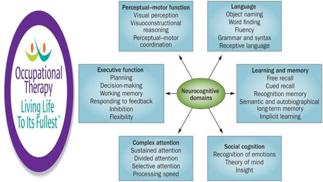 Occupational Therapy Cognitive Functional Evaluation | PPTX