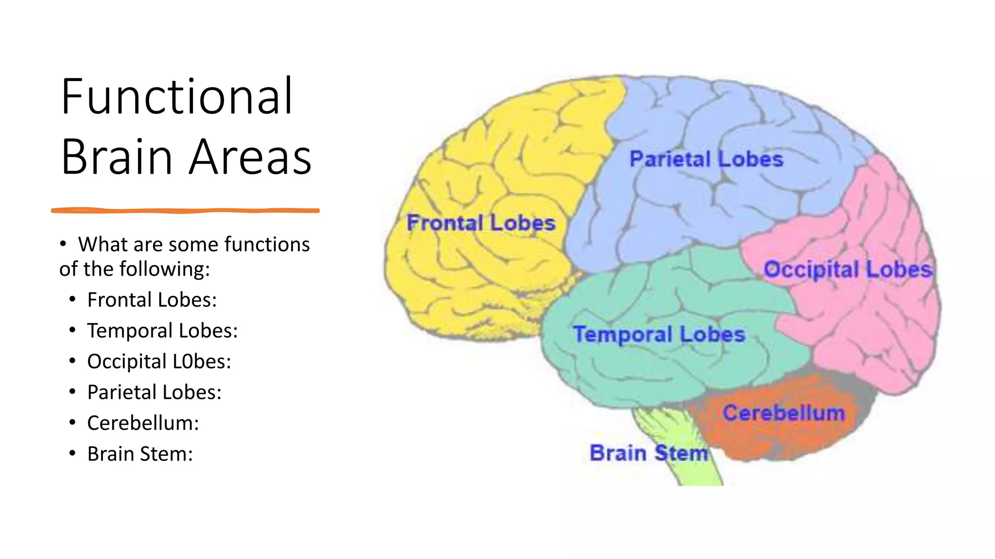 Cognitive Impairments and Dementia | PPTX