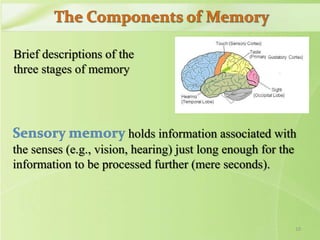 Cognitive information processing approach | PPT