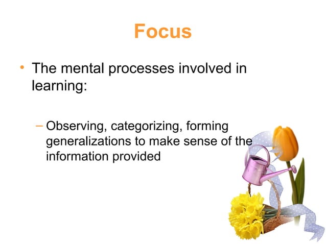 Cognitive learning theory