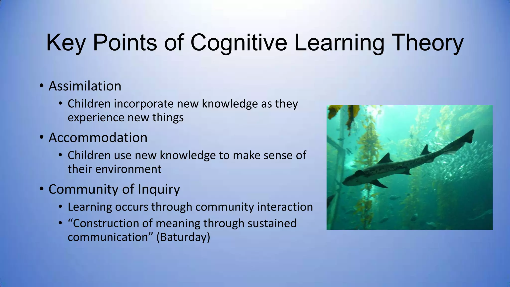 Cognitive learning theory | PPT