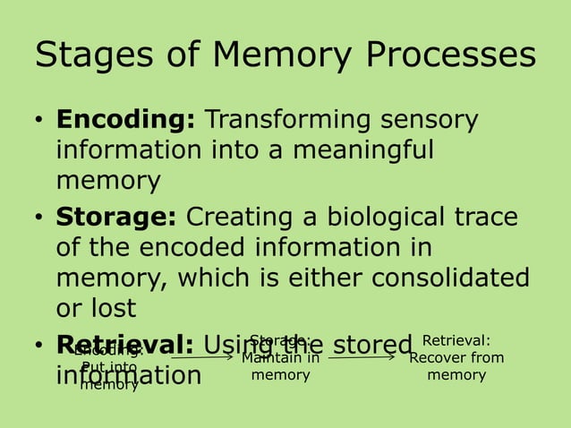 Cognitive Level of Analysis: Cognitive Processes | PPTX