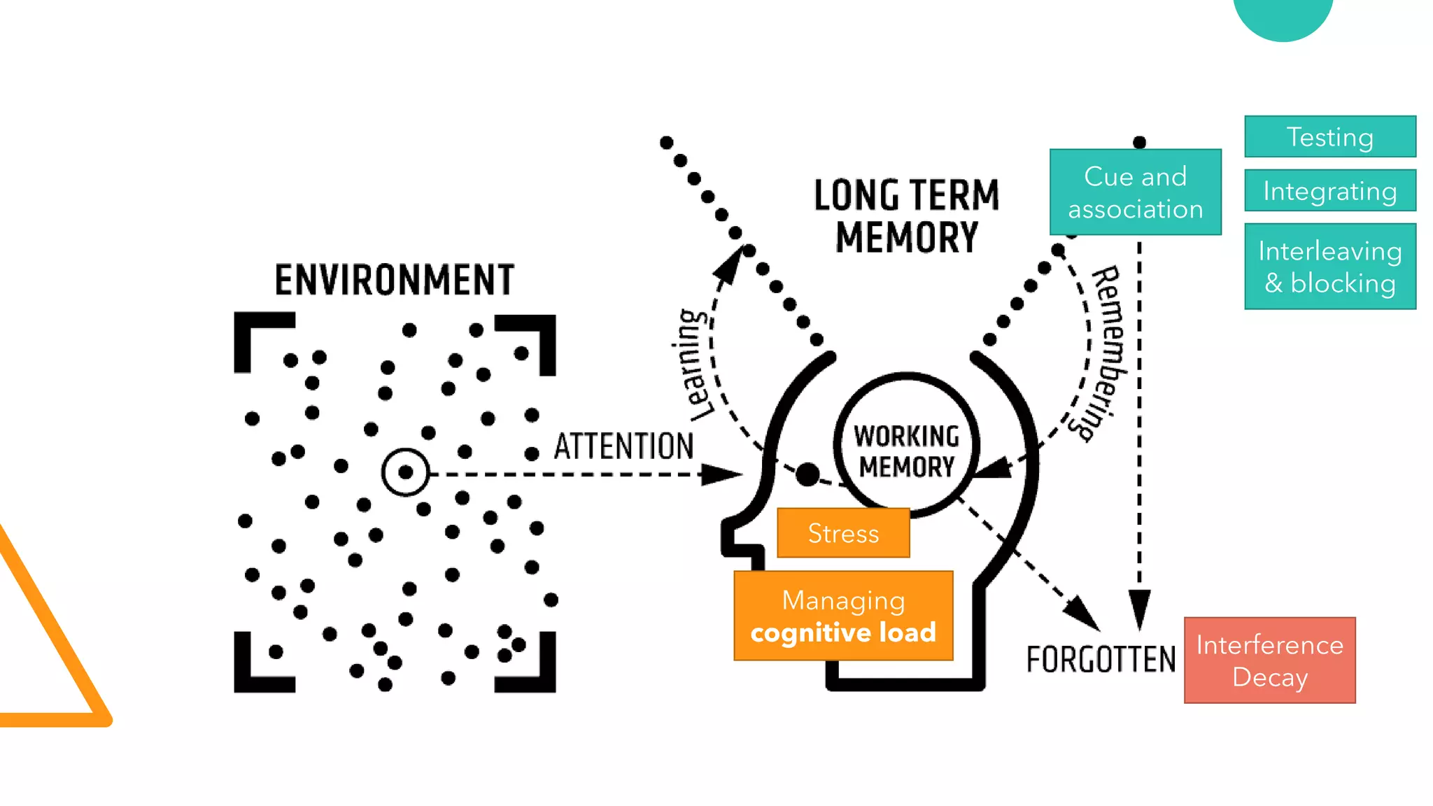 Cognitive Load Theory and Application in Teaching.pdf
