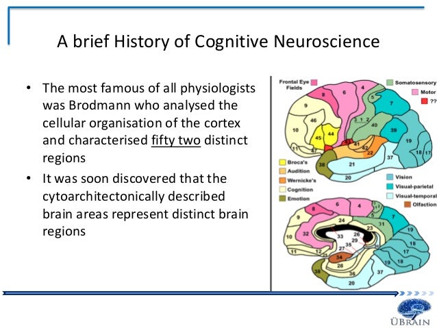 Cognitive Neuroscience - Current Perspectives And Approaches