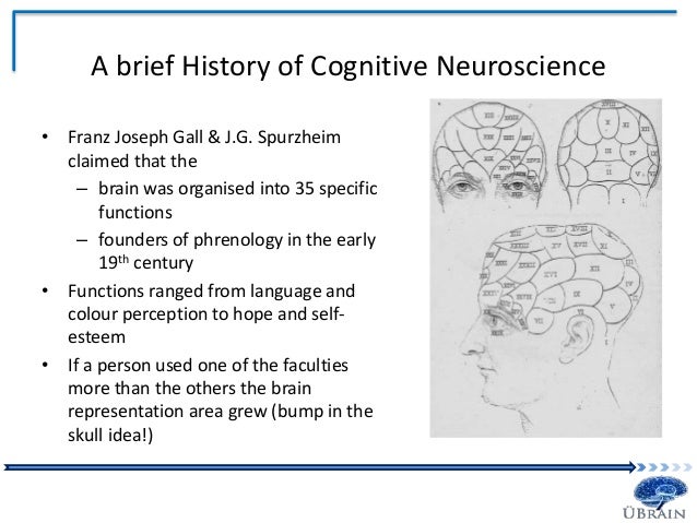 Cognitive Neuroscience - Current Perspectives And Approaches