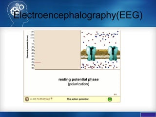 Cognitive Neuroscience | PPT