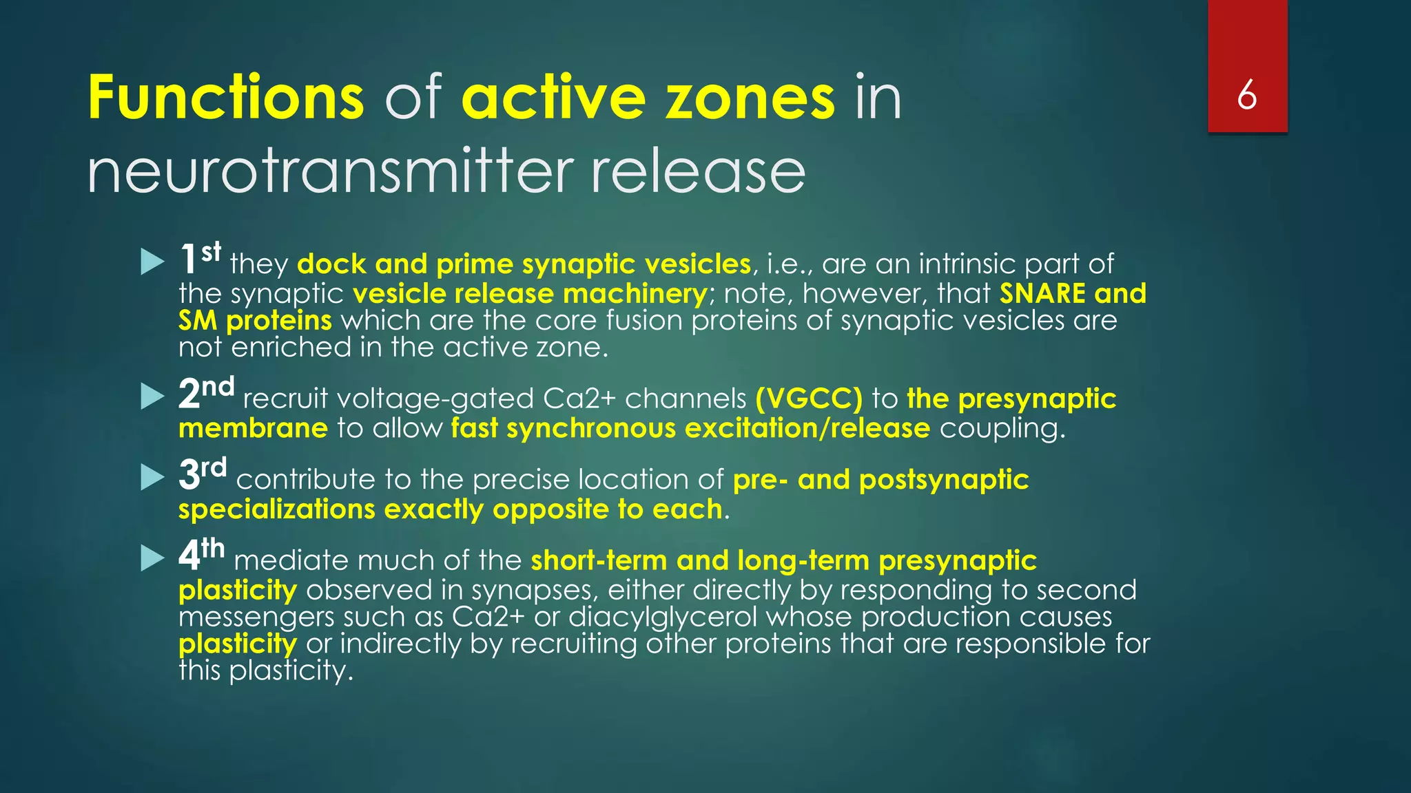 Cognitive neuroscience active zone | PPT