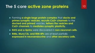 Cognitive neuroscience active zone | PPT