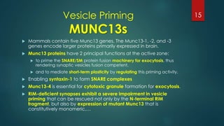 Cognitive neuroscience active zone | PPT