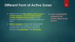 Cognitive neuroscience active zone | PPT