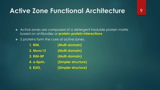 Cognitive neuroscience active zone | PPT