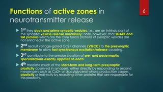 Cognitive neuroscience active zone | PPT
