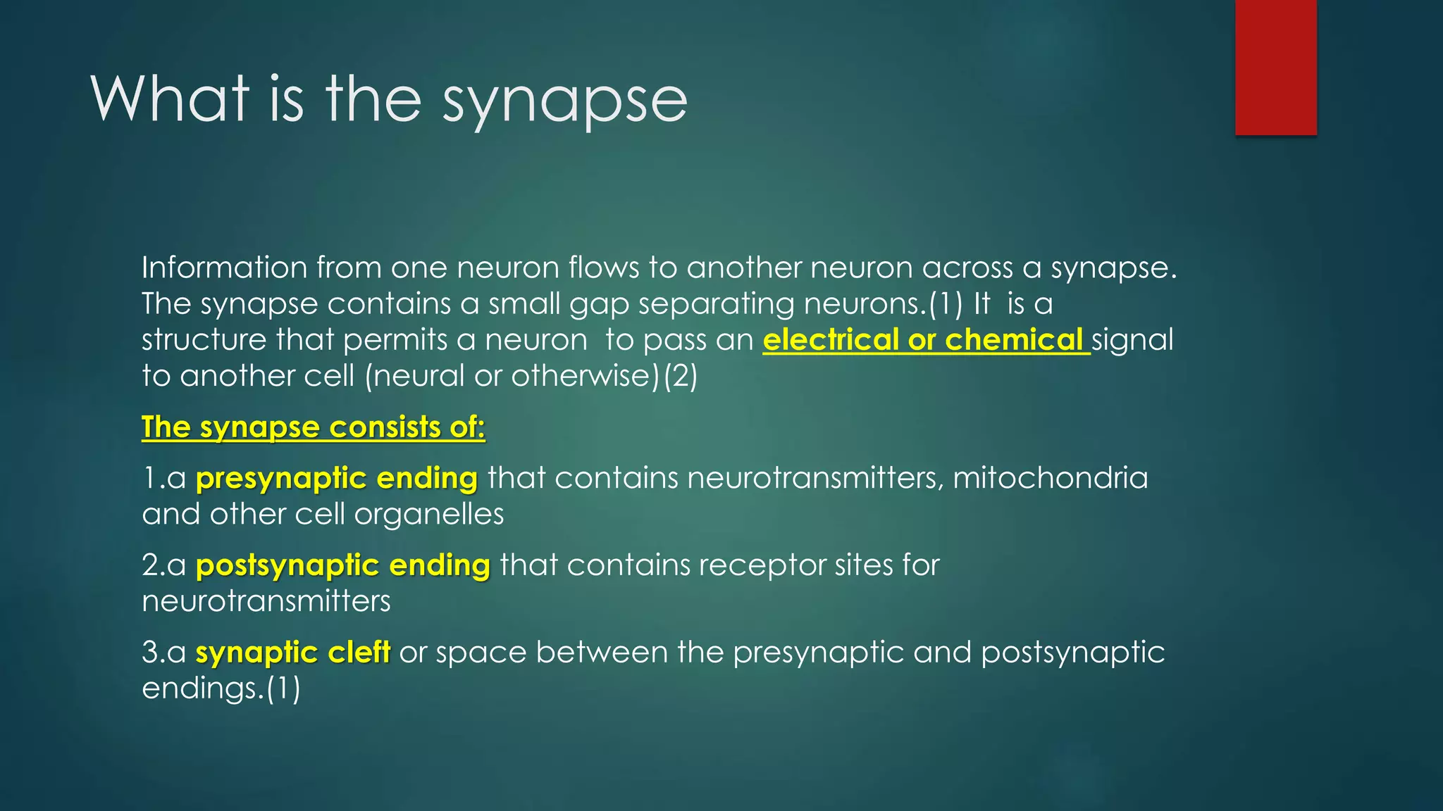Cognitive neuroscience synapses | PPTX