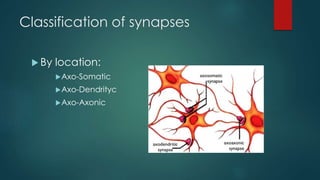 Cognitive neuroscience synapses | PPTX