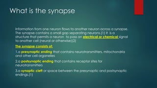 Cognitive neuroscience synapses | PPTX
