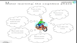 Cognitive orientation to daily occupational performance | PPSX