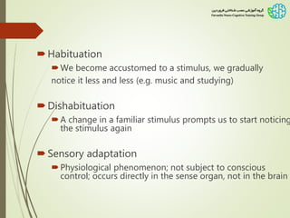 Cognitive psychology of attention and consciousness | PPSX | Brain and ...