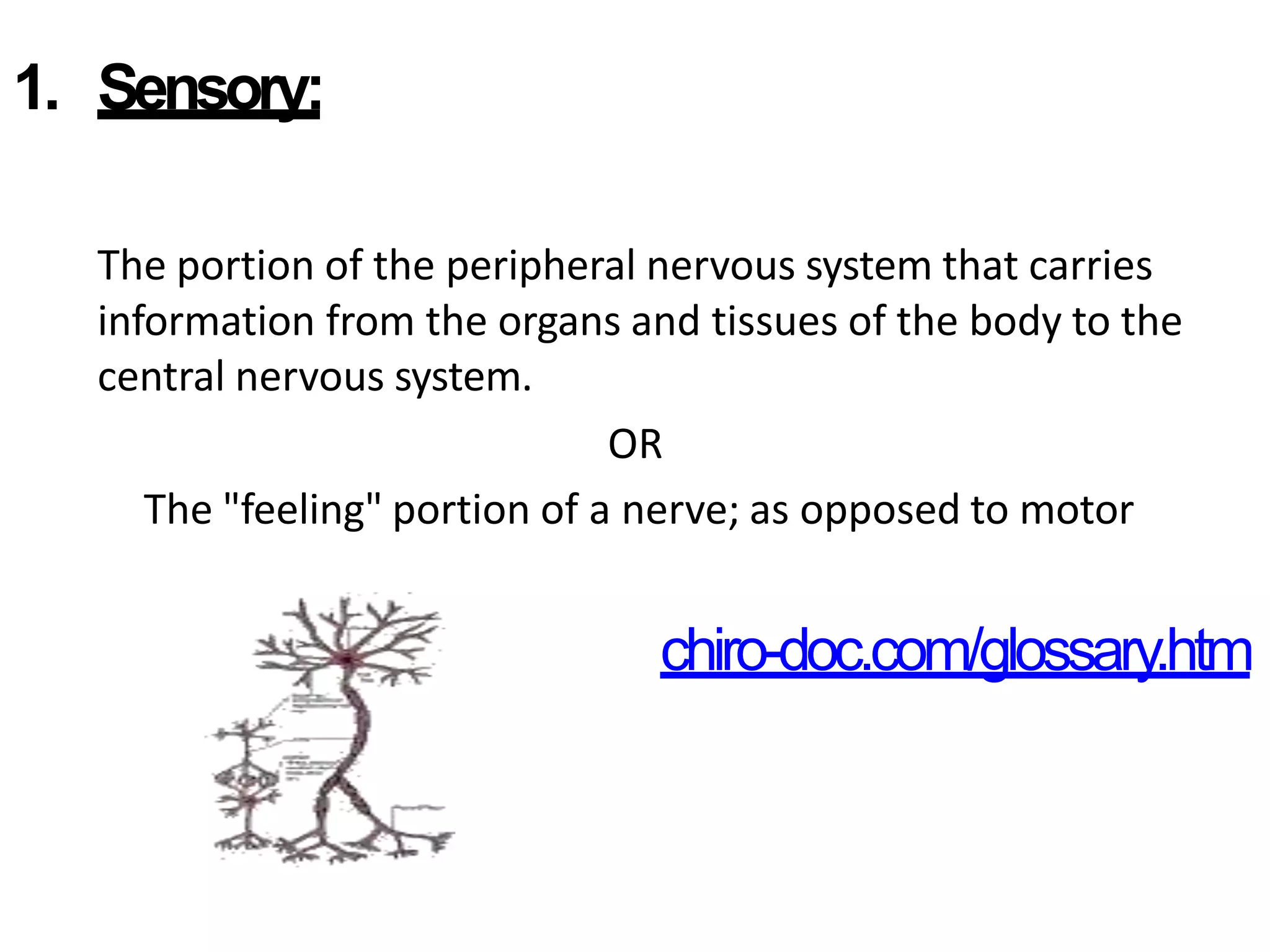 Cognitive perception Pattern | PPT