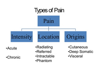 Cognitive perception Pattern | PPTX