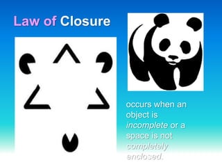 Cognitive Psychology | PPTX