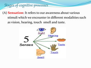 Cognitive process | PPTX