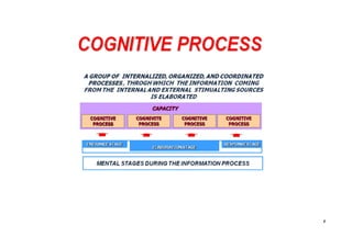 Cognitive Processes (1) | PPT