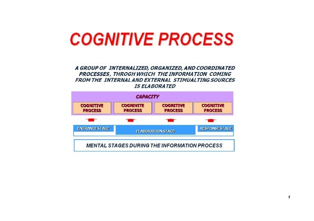 Cognitive Processes (1)