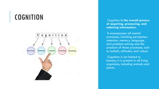 Psychology - Cognitive Processes and Model.pptx
