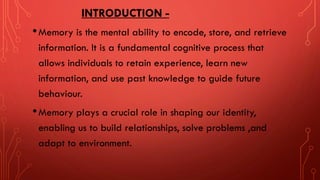 Comprehensive Overview of Memory: Cognitive Processes, Types, and ...